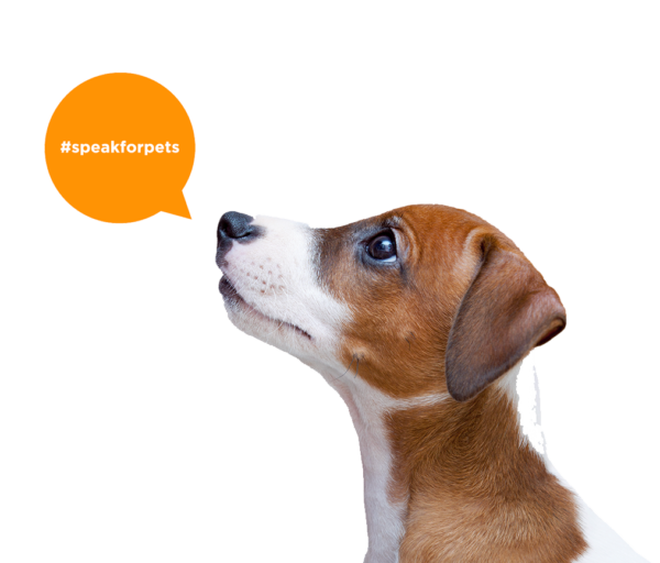 Veterinary Appointment Scheduling Software | VitusVet