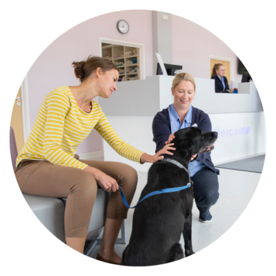 Veterinary Practice Management Software | VitusVet