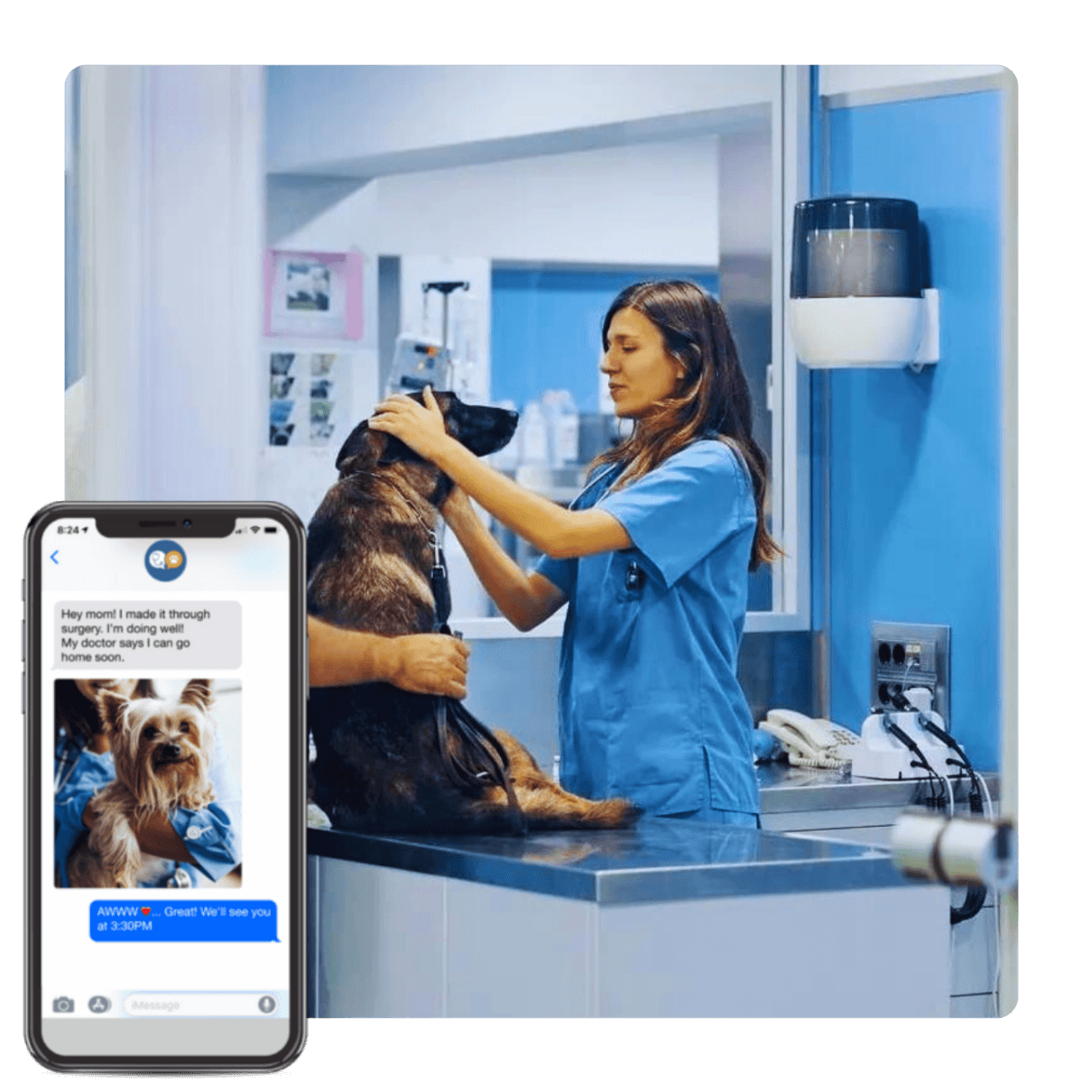 Veterinary Practice Management Software | VitusVet